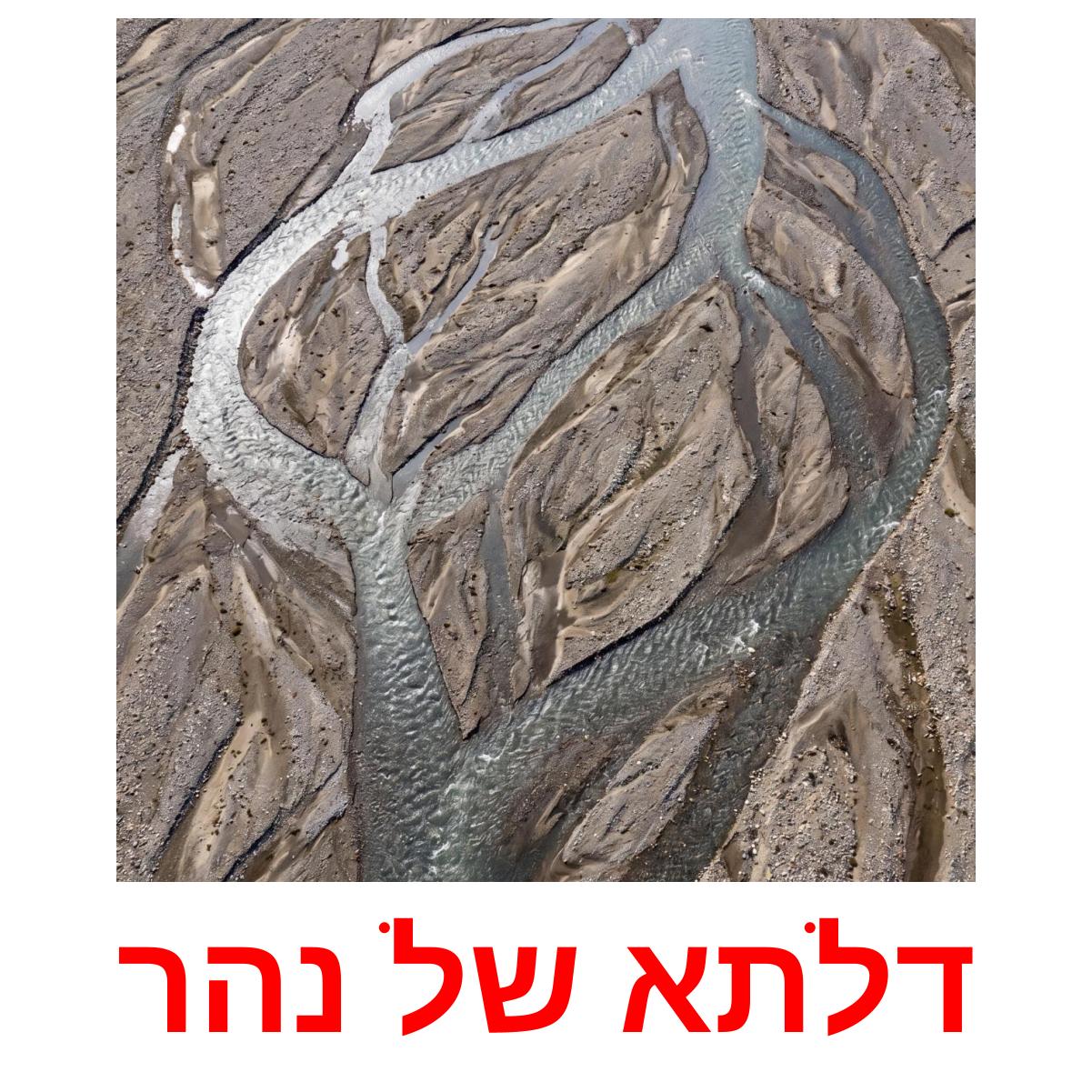 30 Printable Bodies of Water Flashcards in Hebrew (Free PDF)