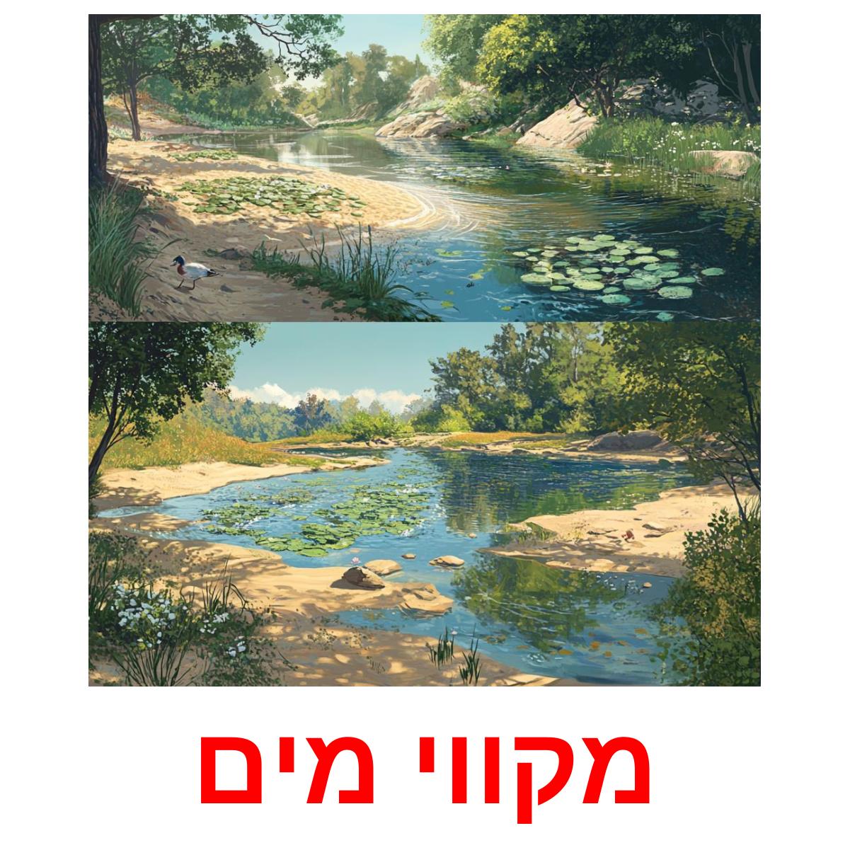 30 Printable Bodies of Water Flashcards in Hebrew (Free PDF)