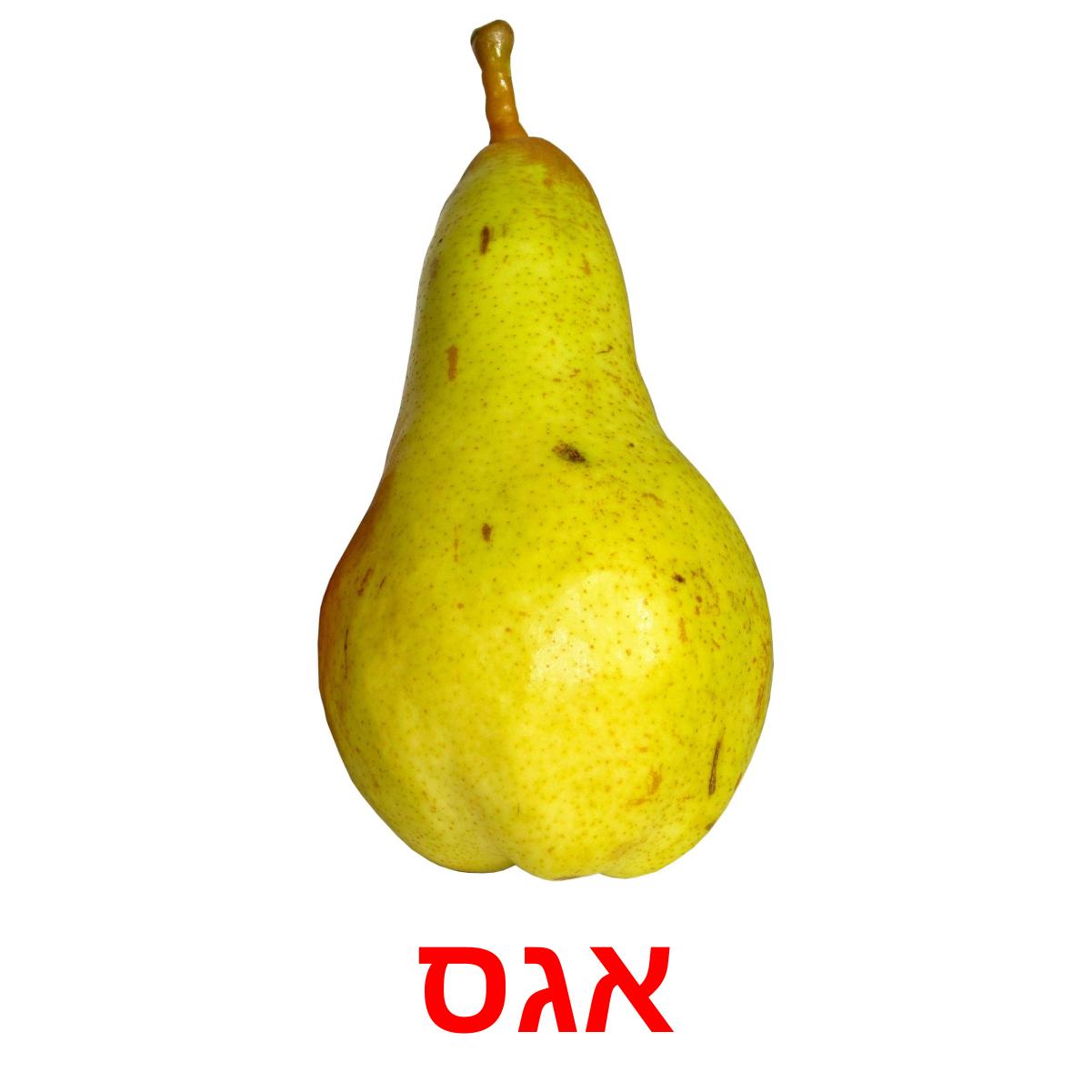 63 FREE Hebrew Food Flashcards | PDF