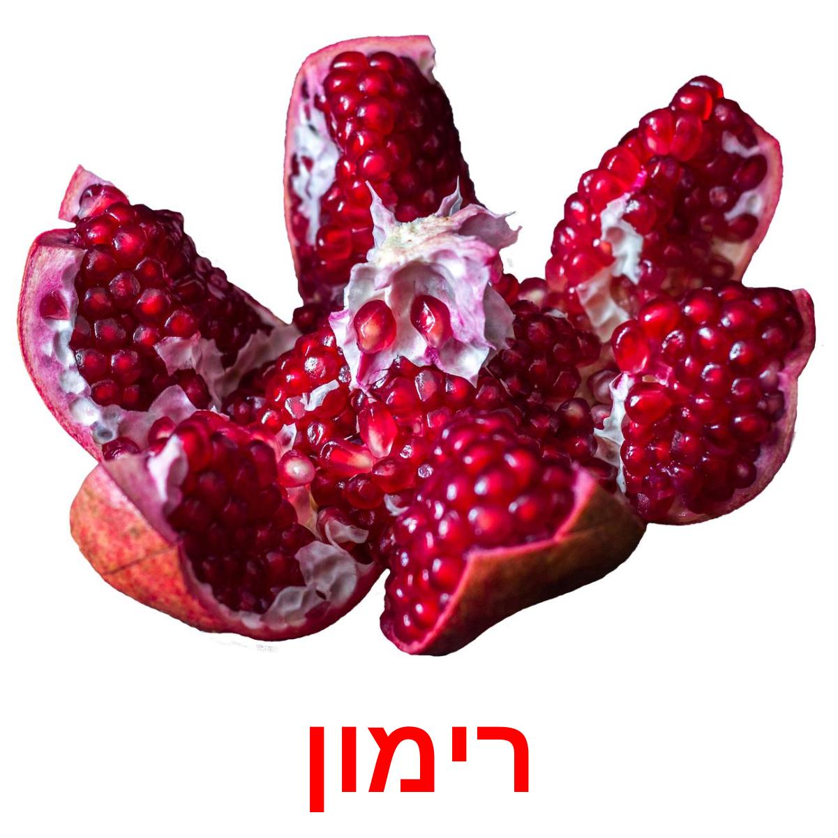 21 Printable Fruits Flashcards in Hebrew (Free PDF)