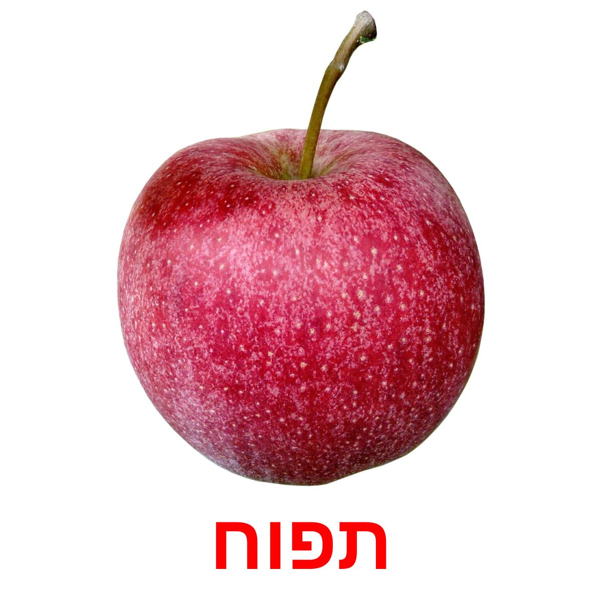 20 FREE Fruits Flashcards in 4 PDF formats | Hebrew Pictures