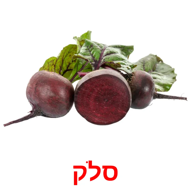 29 FREE Vegetables Flashcards | PDF | Hebrew Words