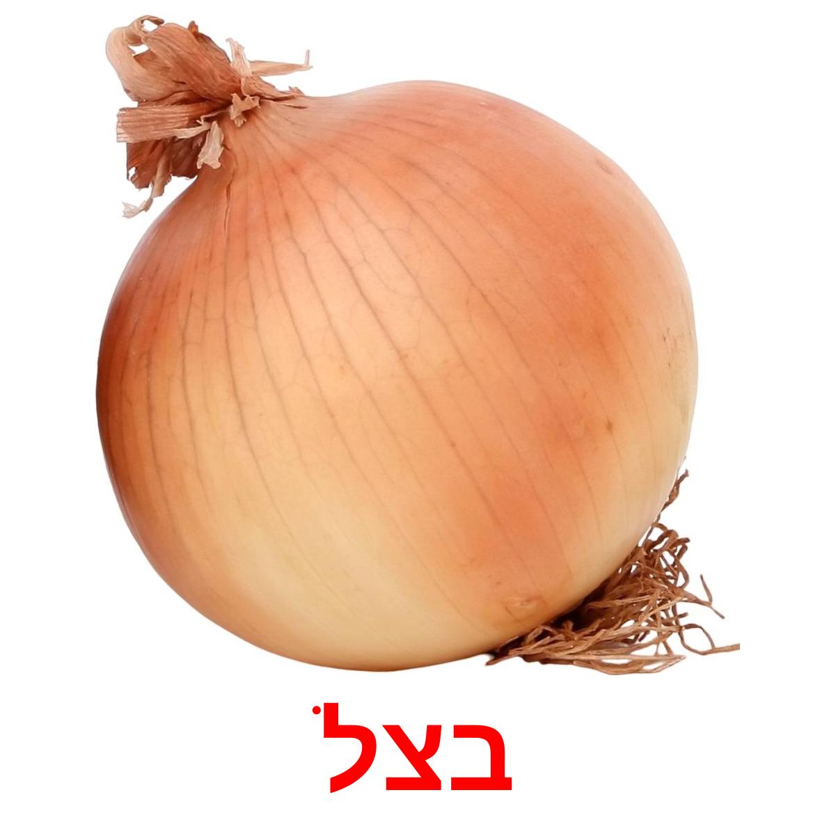 63 FREE Hebrew Food Flashcards | PDF
