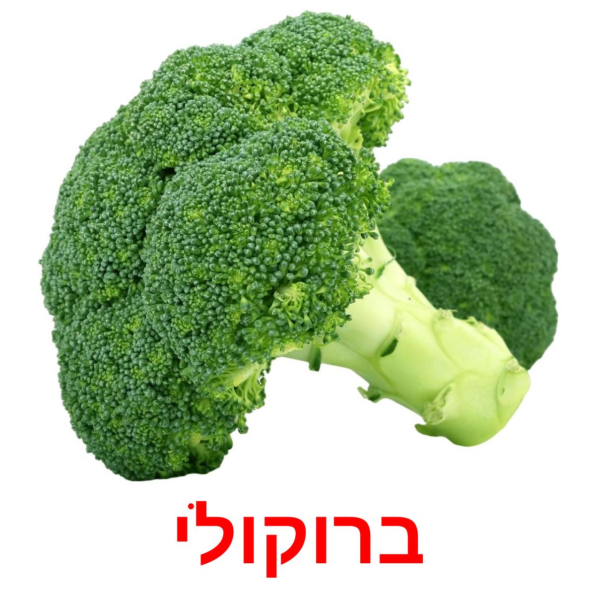 63 FREE Hebrew Food Flashcards | PDF