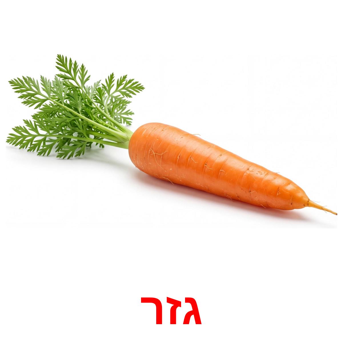 29 FREE Vegetables Flashcards | PDF | Hebrew Words
