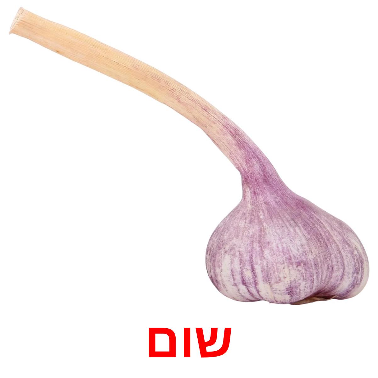 30 Printable Vegetables Flashcards in Hebrew (Free PDF)