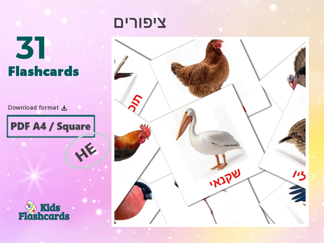 31 FREE Hebrew Birds Flashcards | PDF
