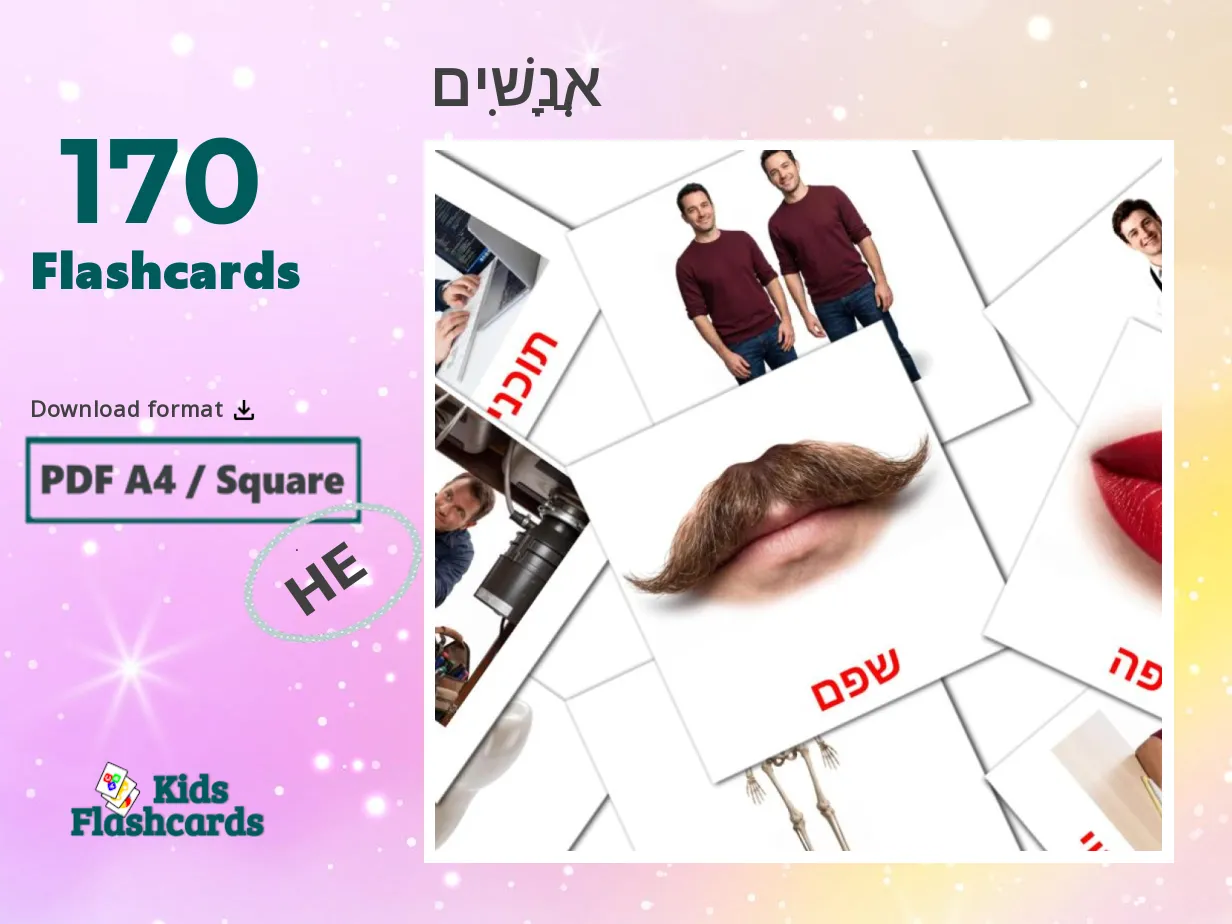170 FREE Hebrew People Flashcards | PDF