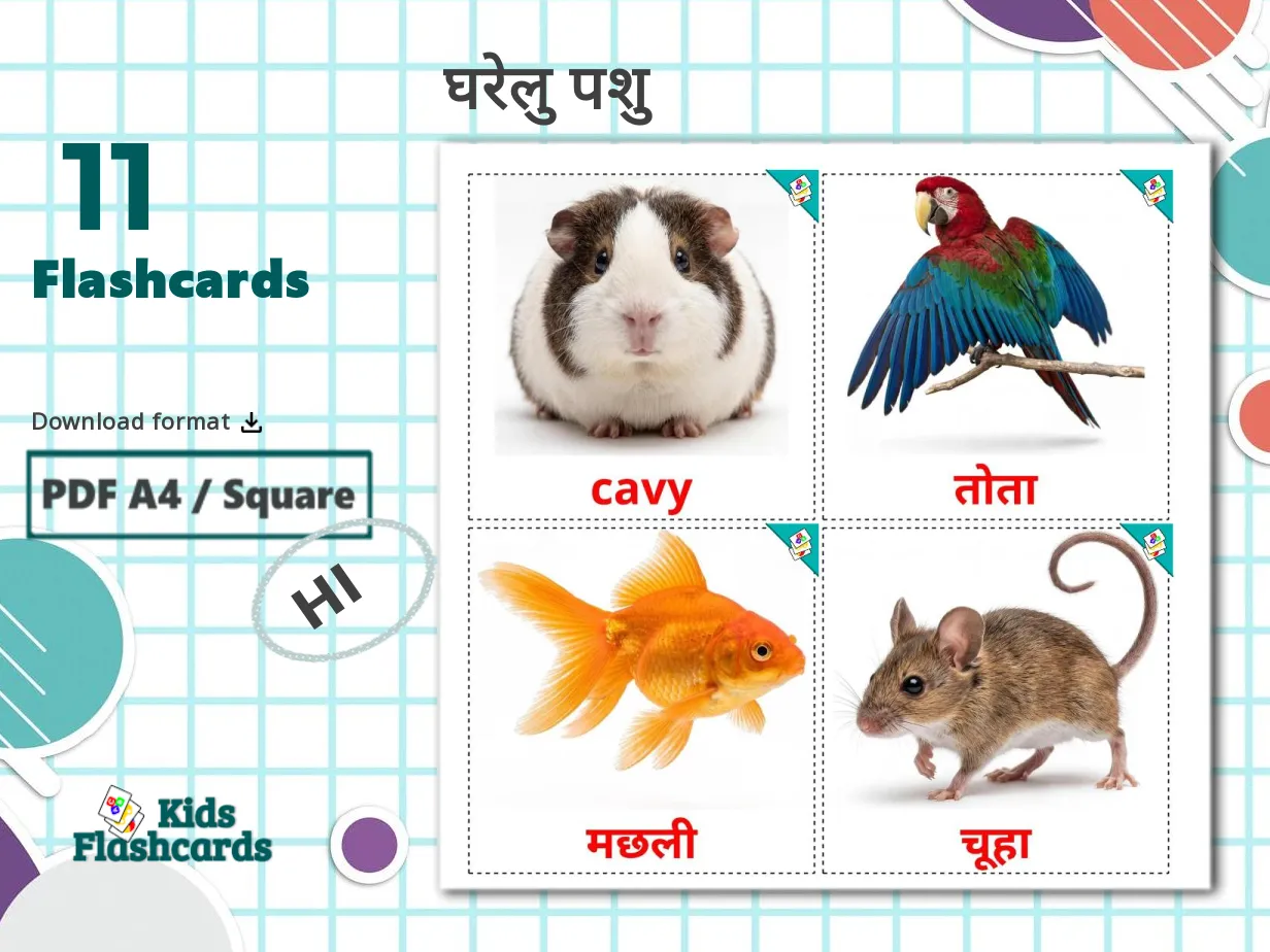 11 Printable Domestic animals Flashcards in Hindi (Free PDF)