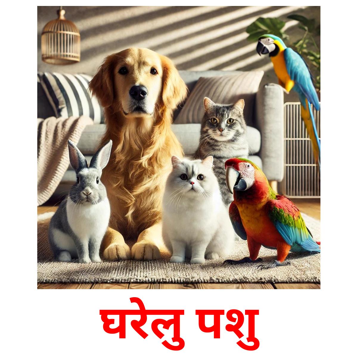 11 Printable Domestic animals Flashcards in Hindi (Free PDF)