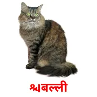 11 Printable Domestic animals Flashcards in Hindi (Free PDF)