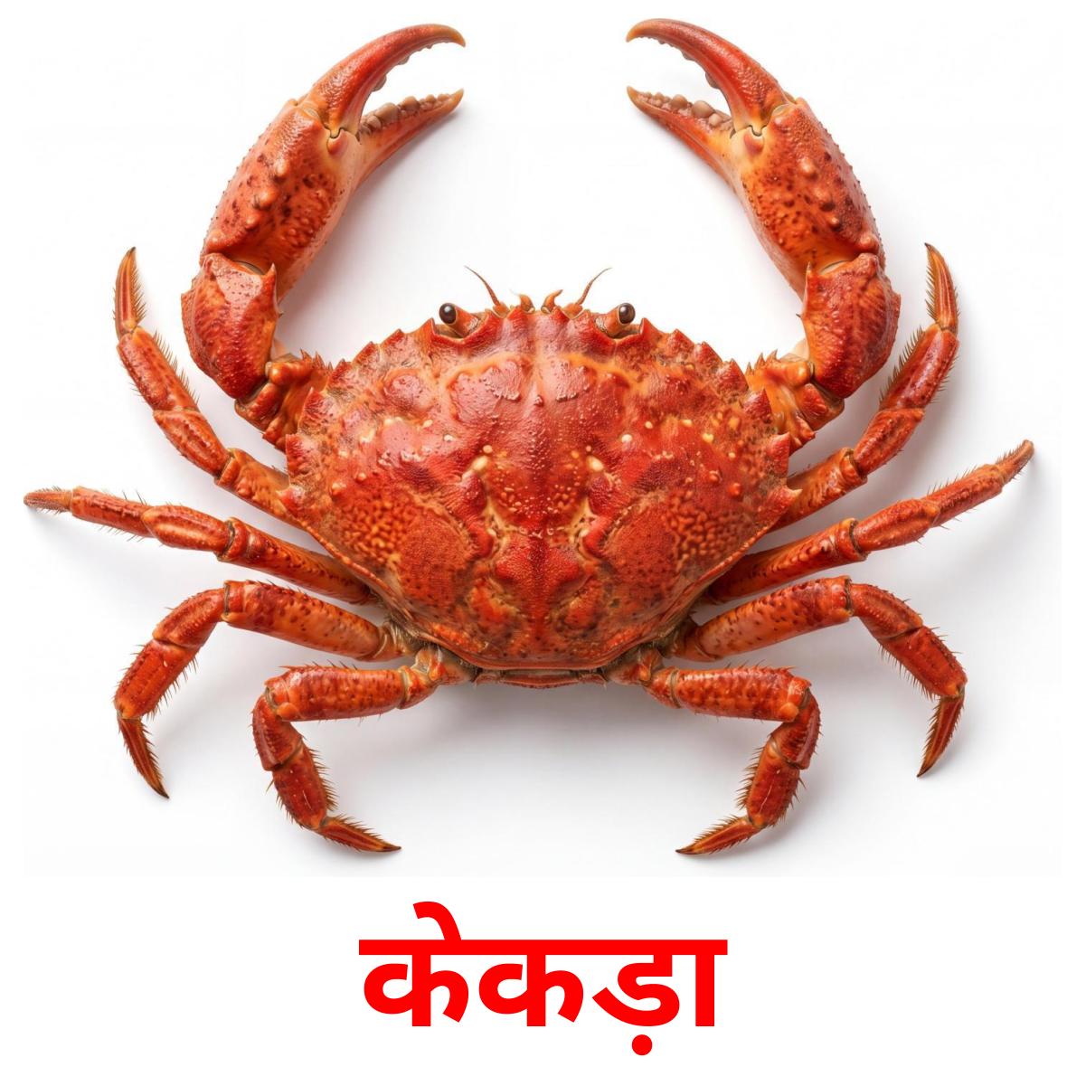 141 FREE Hindi Animals Flashcards | PDF