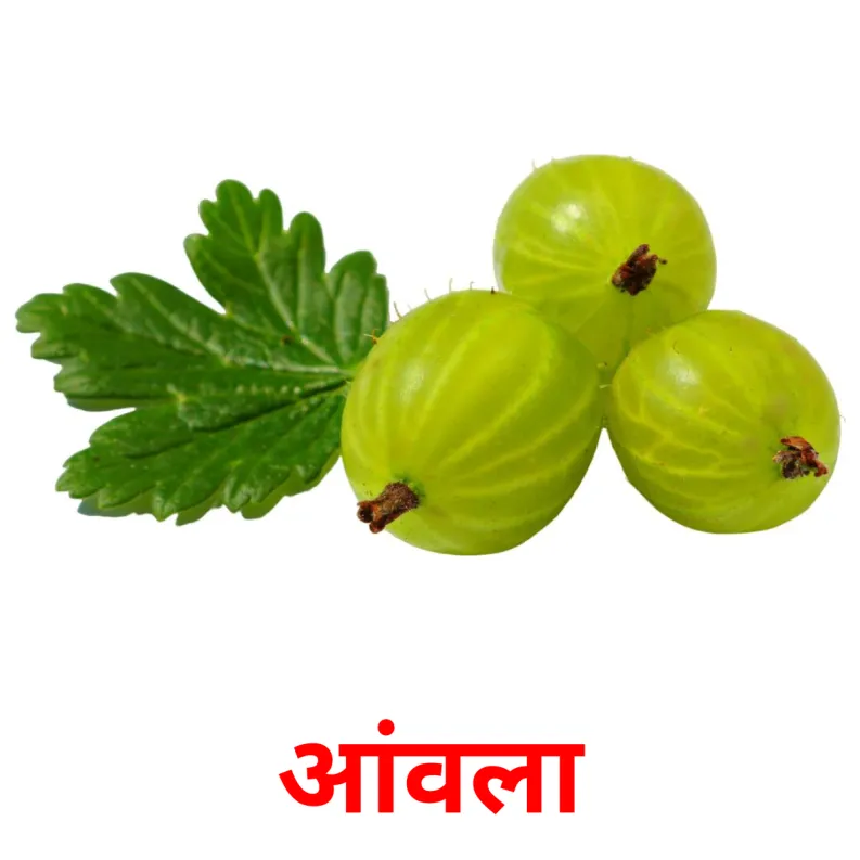 60 FREE Hindi Food Flashcards | PDF