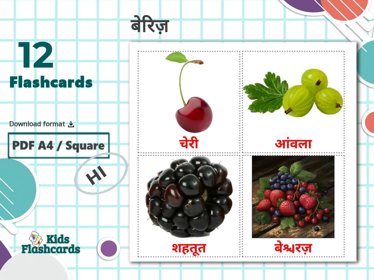 12 Printable Berries Flashcards in Hindi (Free PDF)