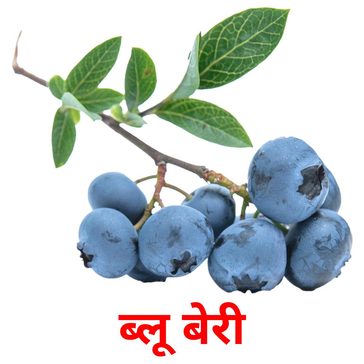 12 Printable Berries Flashcards in Hindi (Free PDF)