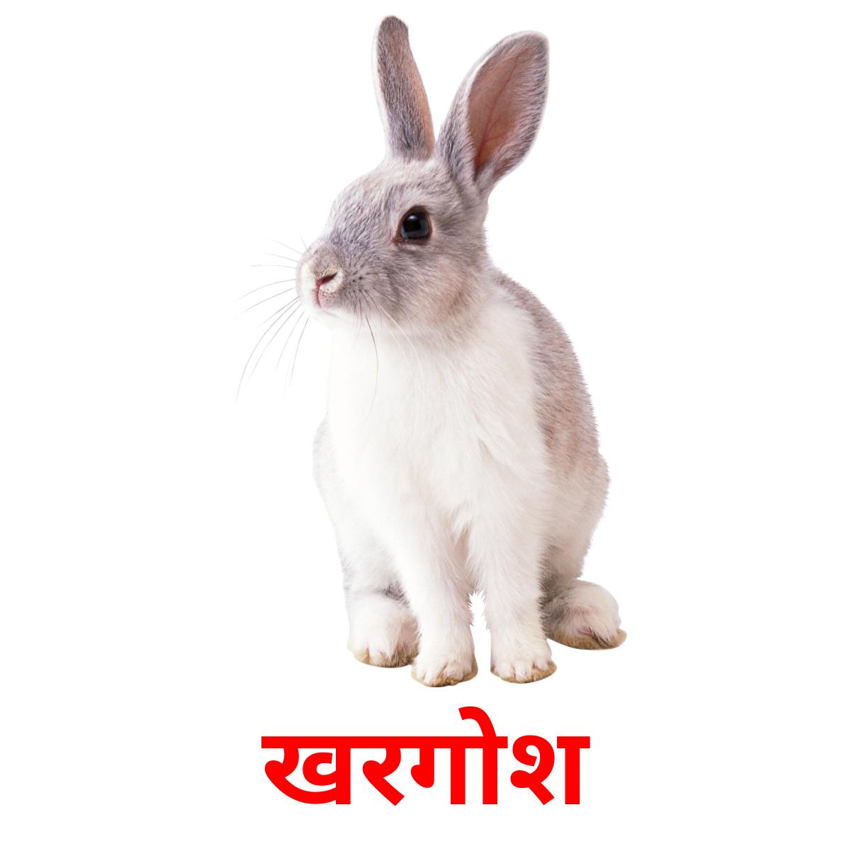 16 Printable Farm animals Flashcards in Hindi (Free PDF)