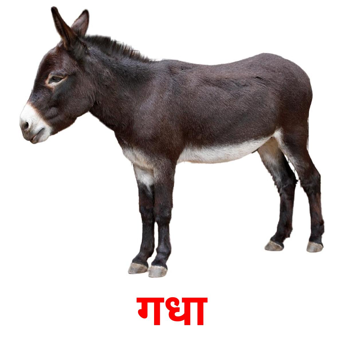 16 Printable Farm animals Flashcards in Hindi (Free PDF)