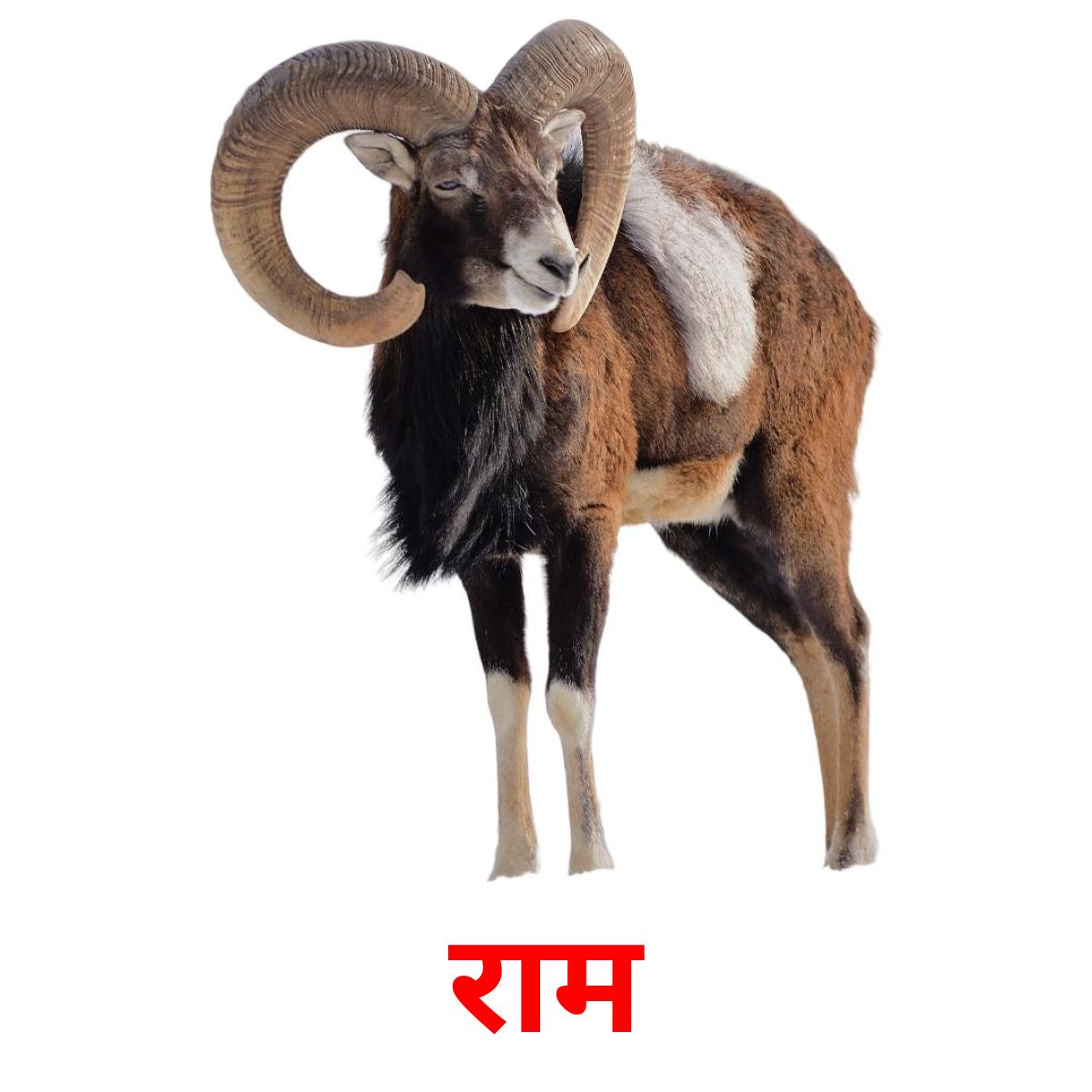 16 Printable Farm animals Flashcards in Hindi (Free PDF)