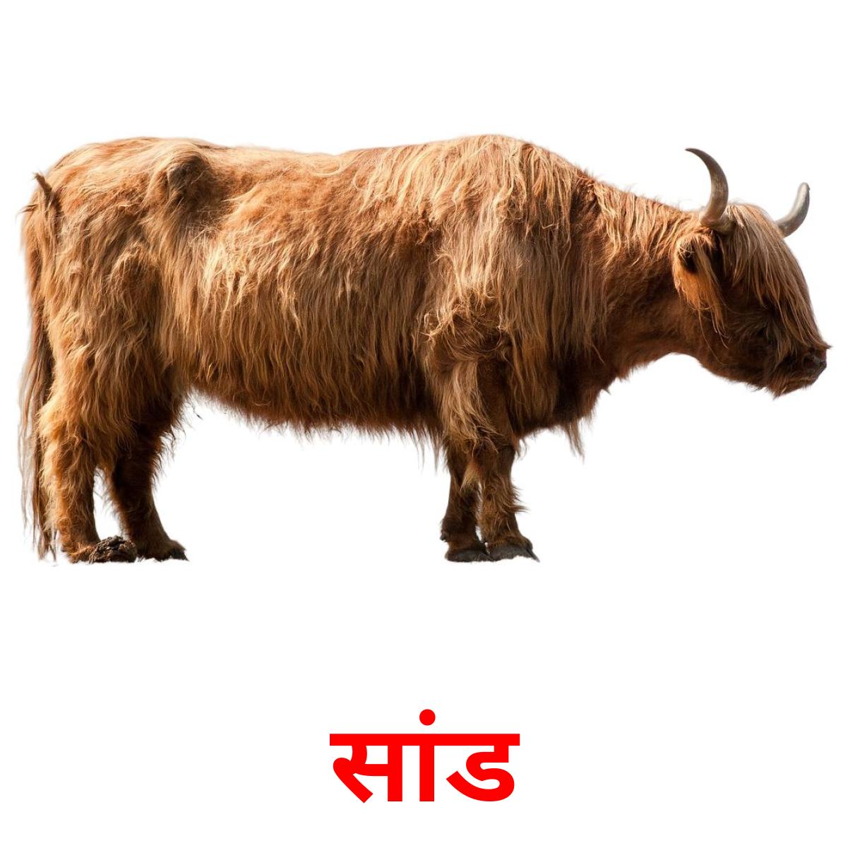 16 Printable Farm animals Flashcards in Hindi (Free PDF)