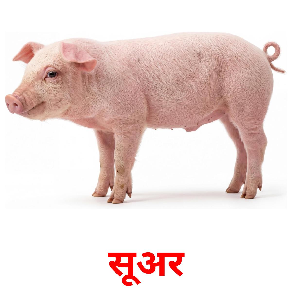 16 Printable Farm animals Flashcards in Hindi (Free PDF)