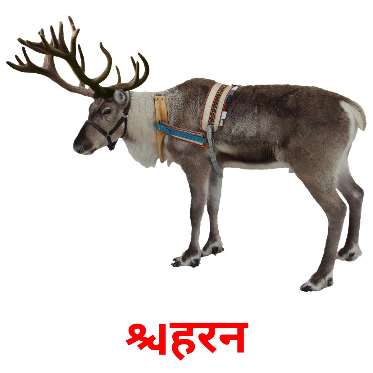 16 Printable Farm animals Flashcards in Hindi (Free PDF)