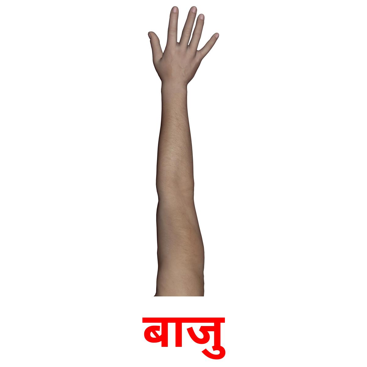 26 Printable Body Parts Flashcards in Hindi (Free PDF)