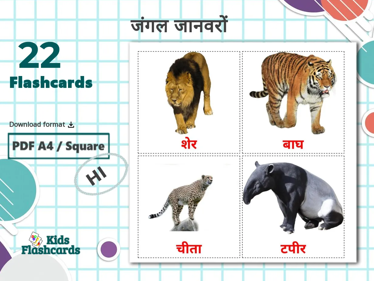 22 Printable Jungle animals Flashcards in Hindi (Free PDF)