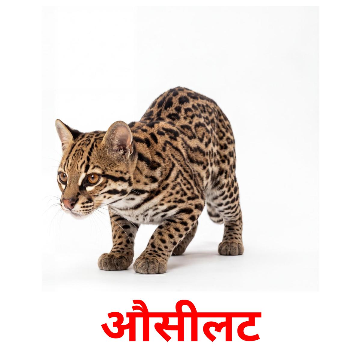 141 FREE Hindi Animals Flashcards | PDF