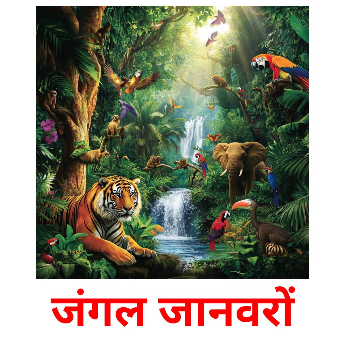 22 Printable Jungle animals Flashcards in Hindi (Free PDF)