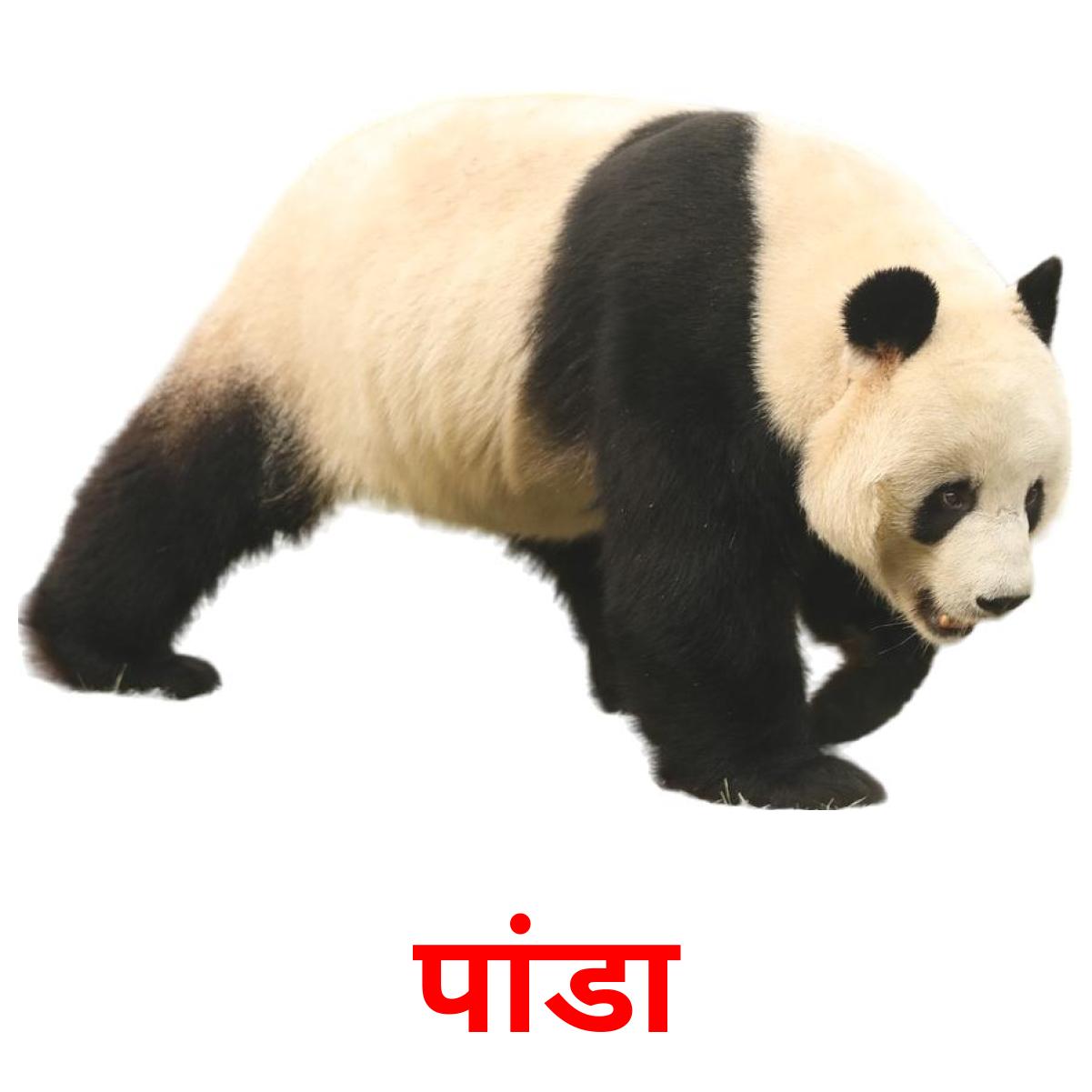 22 Printable Jungle animals Flashcards in Hindi (Free PDF)