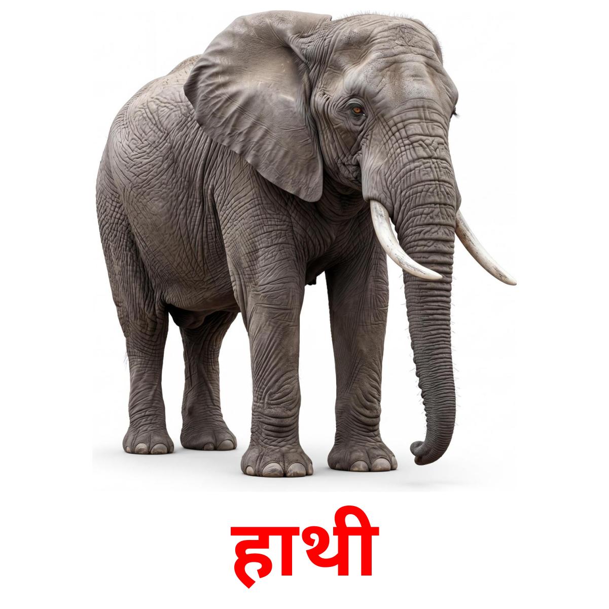 22 Printable Jungle animals Flashcards in Hindi (Free PDF)