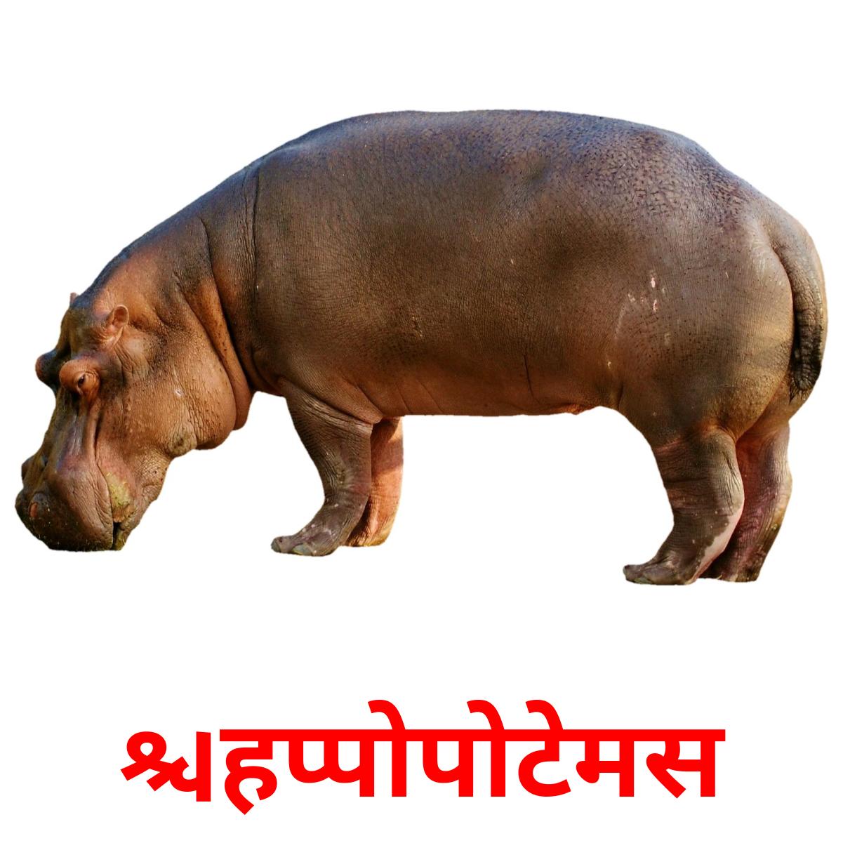 22 Printable Jungle animals Flashcards in Hindi (Free PDF)