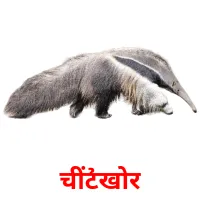 22 Printable Jungle animals Flashcards in Hindi (Free PDF)