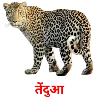 21 FREE Jungle animals Flashcards | PDF | Hindi Words