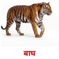 22 Printable Jungle animals Flashcards in Hindi (Free PDF)