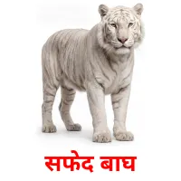 22 Printable Jungle animals Flashcards in Hindi (Free PDF)