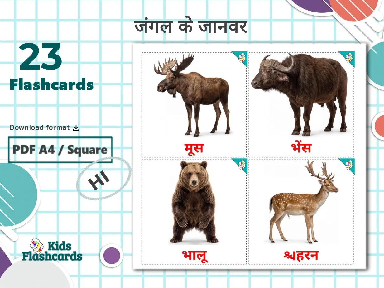23 Printable Forest animals Flashcards in Hindi (Free PDF)