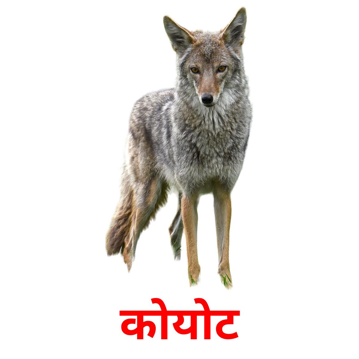 141 FREE Hindi Animals Flashcards | PDF