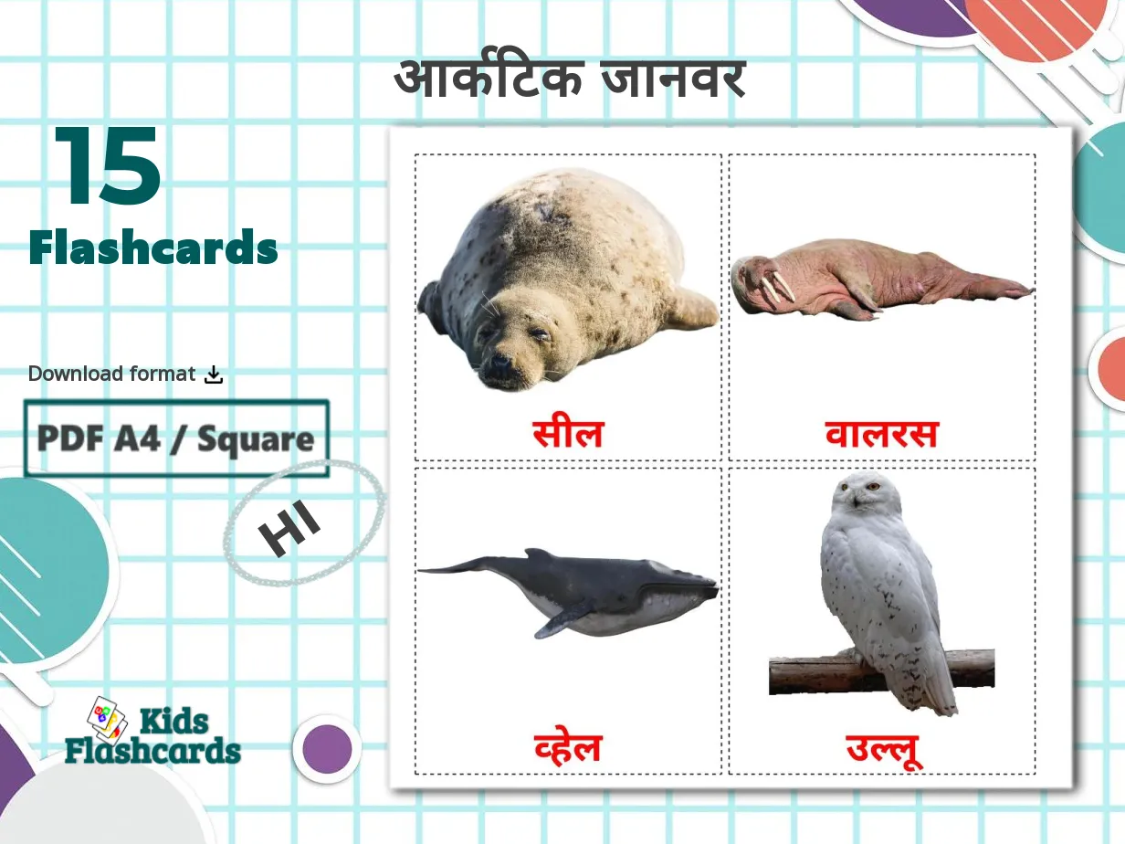 15 Printable Arctic animals Flashcards in Hindi (Free PDF)