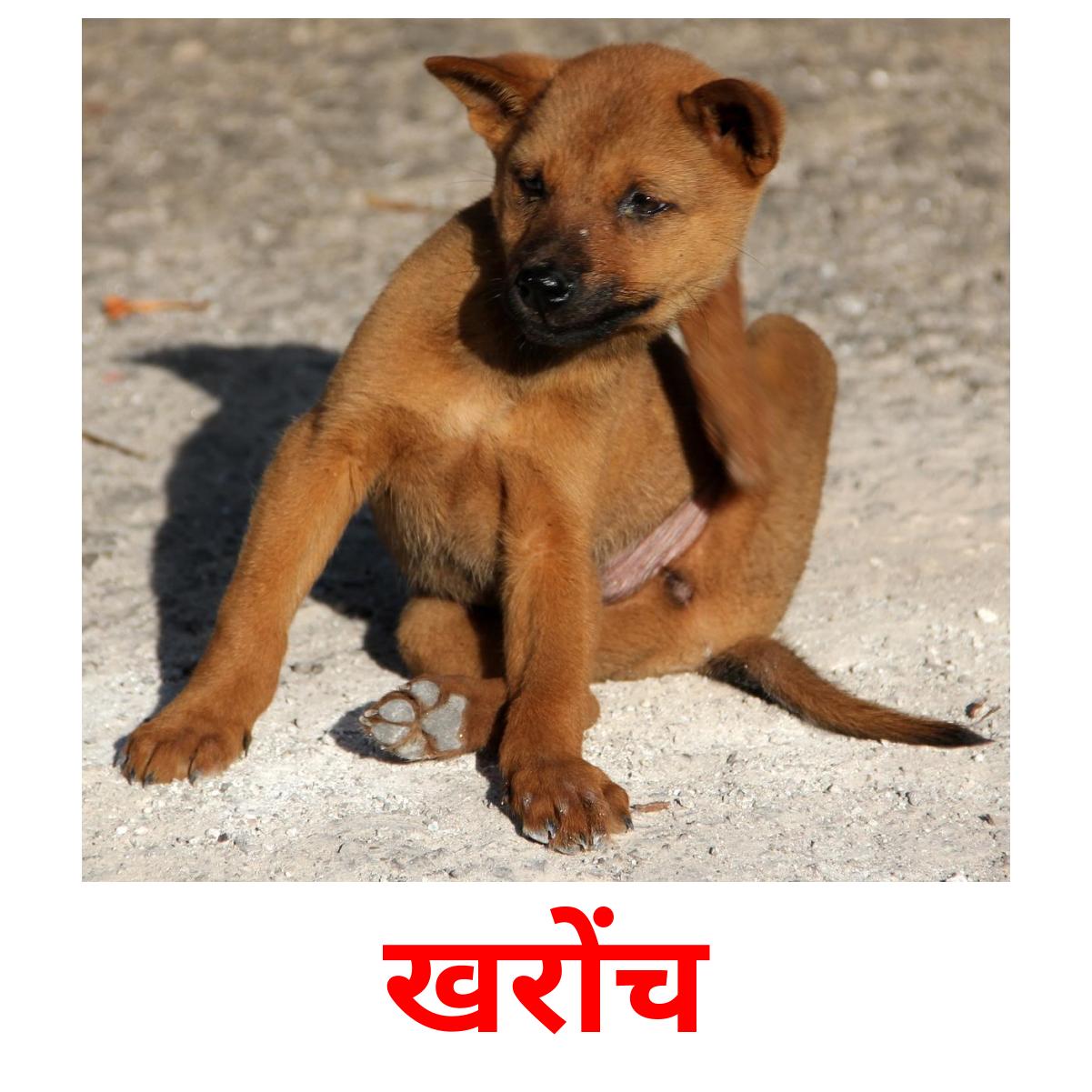 52 Printable Action verbs Flashcards in Hindi (Free PDF)