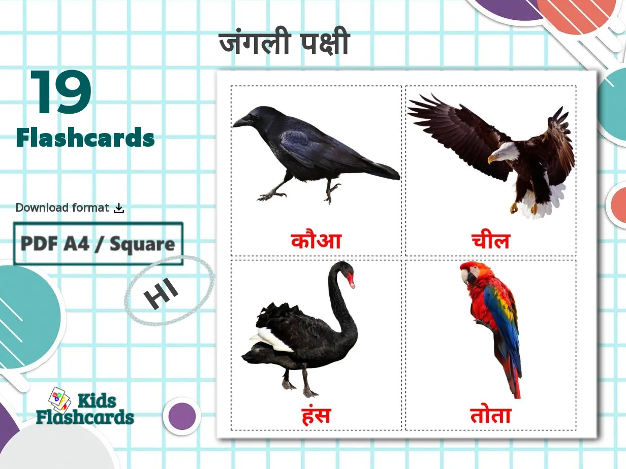 19 Printable Wild birds Flashcards in Hindi (Free PDF)
