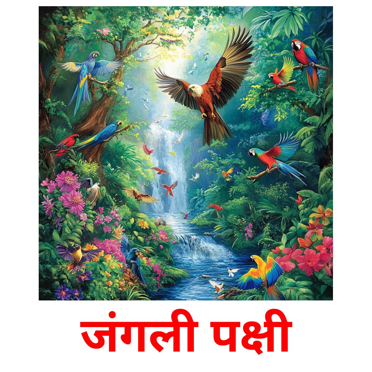 19 Printable Wild birds Flashcards in Hindi (Free PDF)