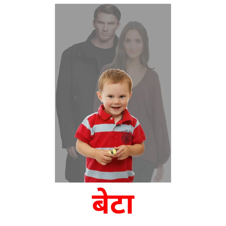32 FREE Family members Flashcards in 4 PDF formats | Hindi Pictures