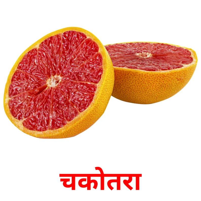 20 FREE Fruits Flashcards | PDF | Hindi Words