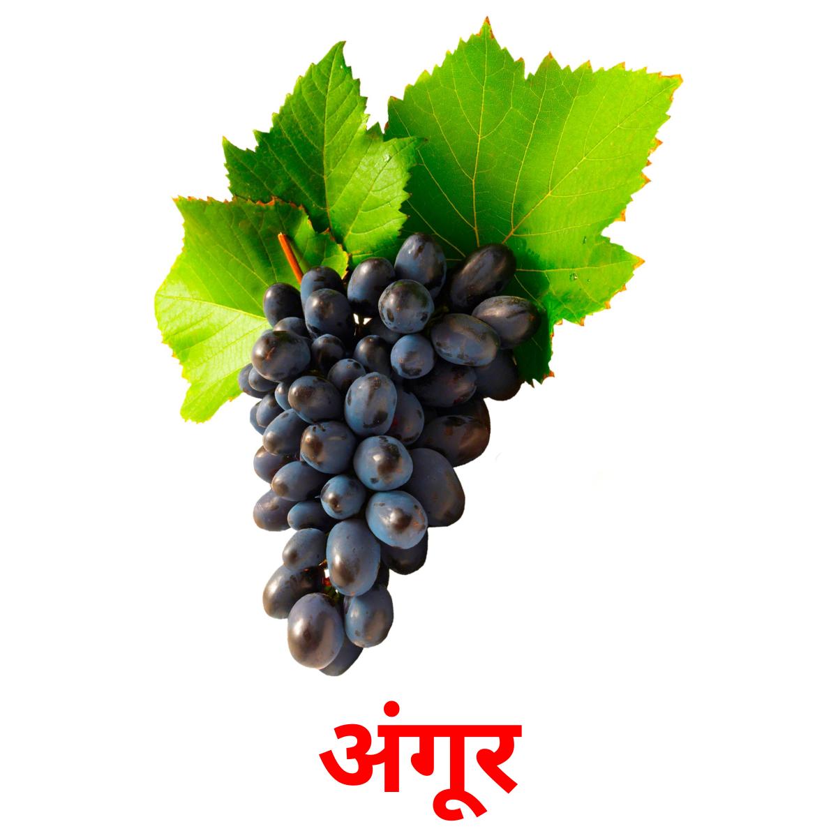 63 FREE Hindi Food Flashcards | PDF