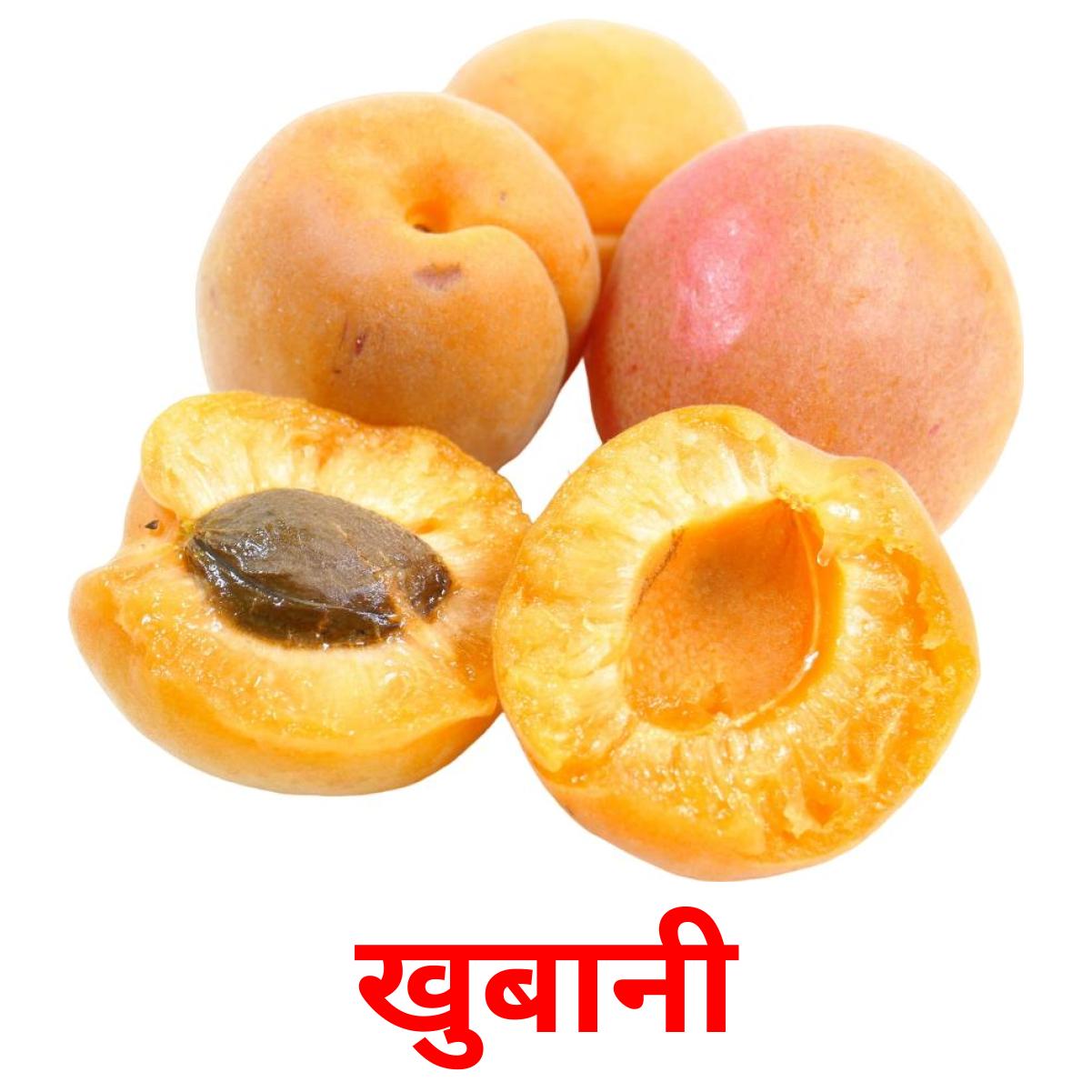 21 Printable Fruits Flashcards in Hindi (Free PDF)