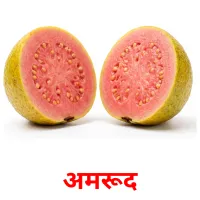 21 Printable Fruits Flashcards in Hindi (Free PDF)