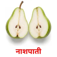 21 Printable Fruits Flashcards in Hindi (Free PDF)