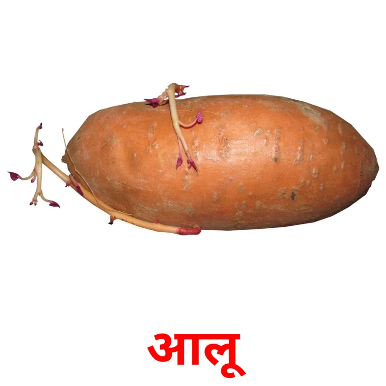 60 FREE Hindi Food Flashcards | PDF
