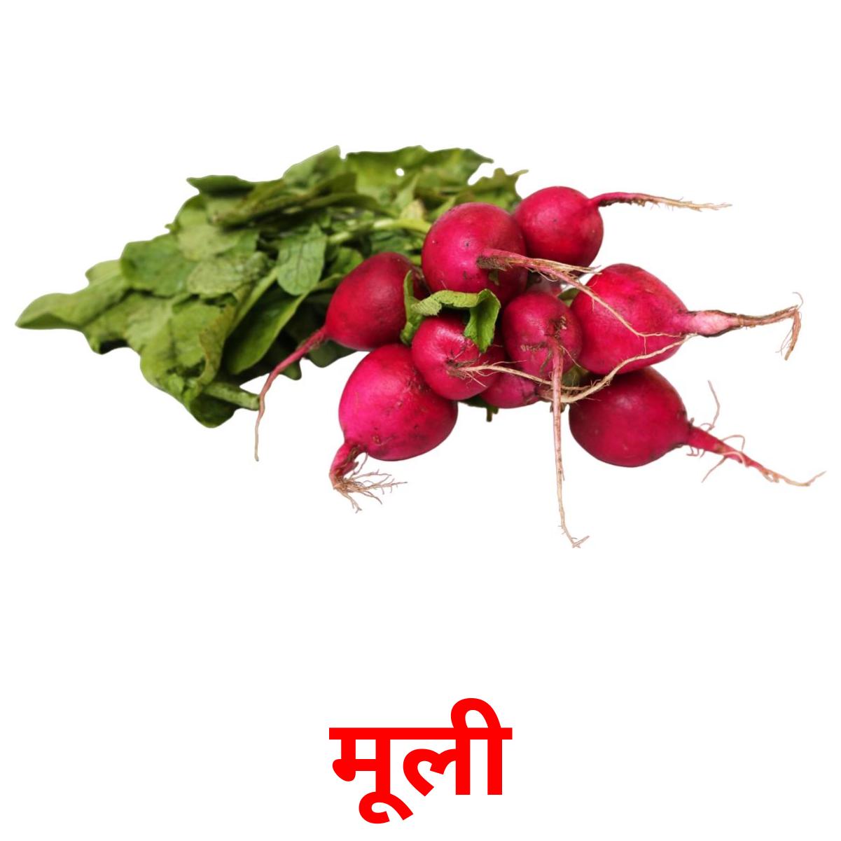 30 Printable Vegetables Flashcards in Hindi (Free PDF)